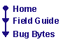 Bug Bytes
