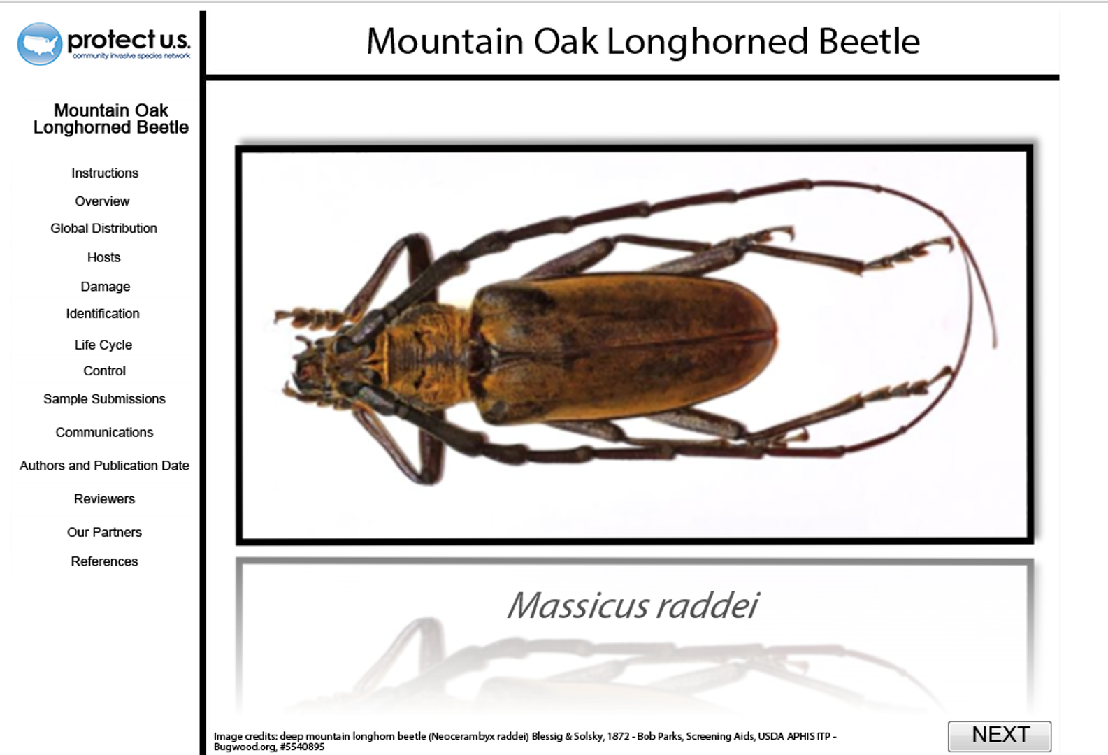 Protect U.S. Scripted PowerPoint Presentations2