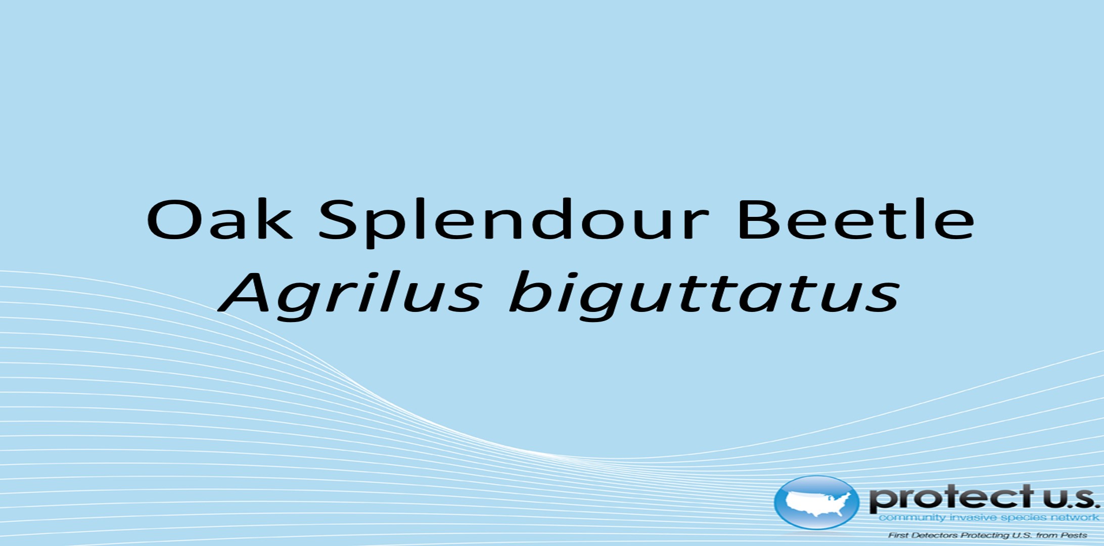 Protect U.S. Scripted PowerPoint Presentations2