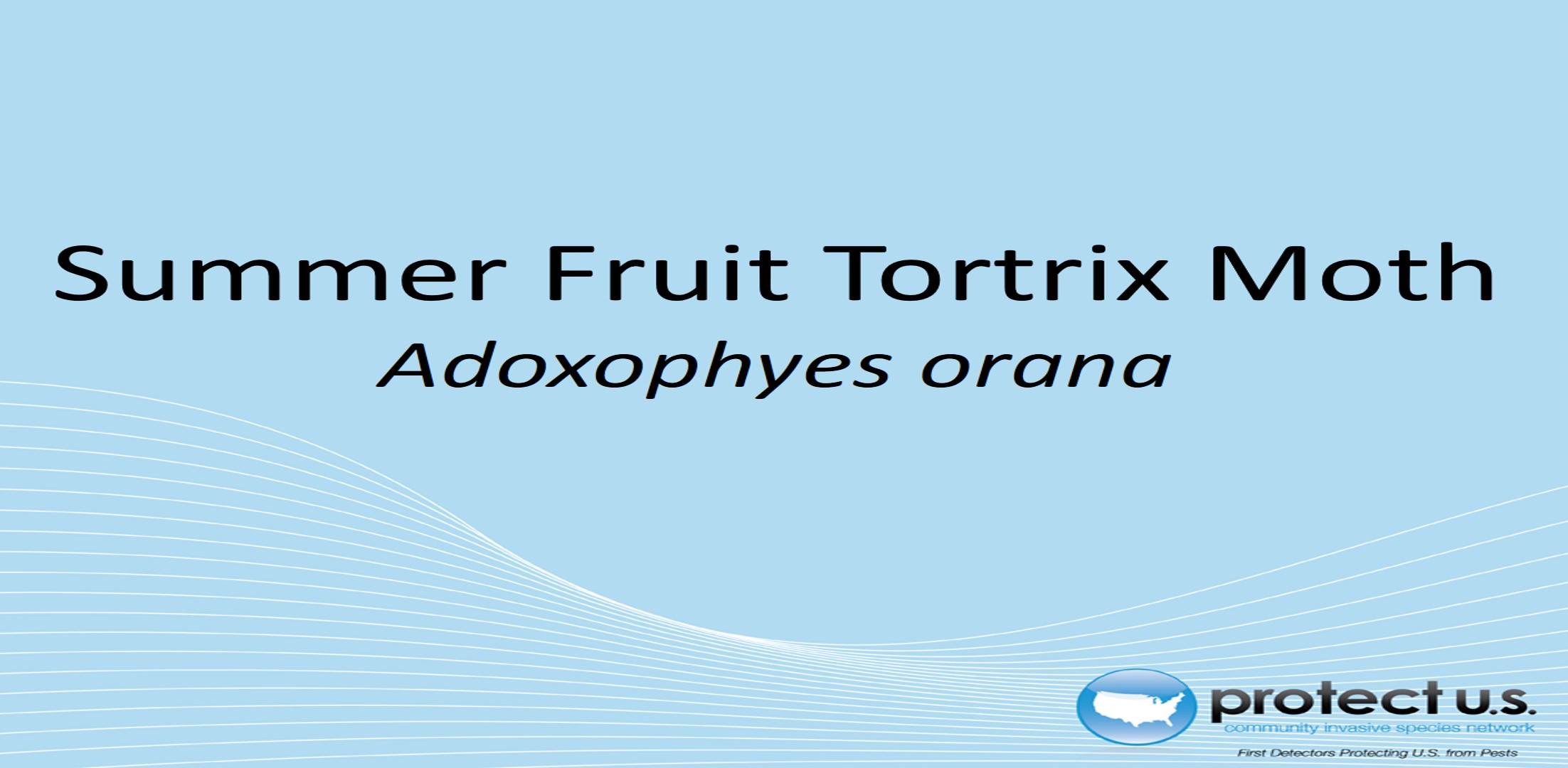 Protect U.S. Scripted PowerPoint Presentations2