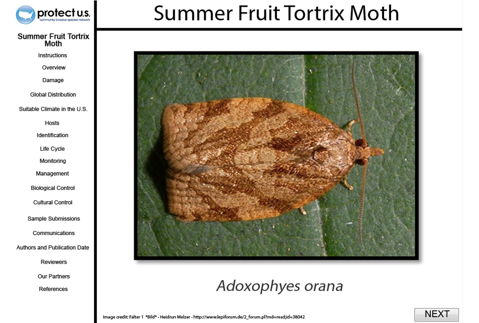 Protect U.S. Scripted PowerPoint Presentations2