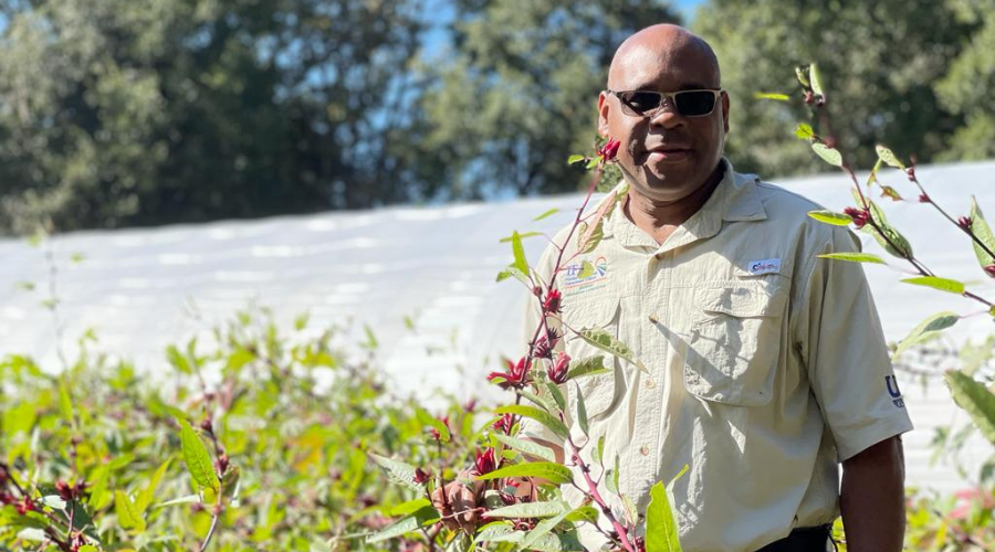 Small Fruit and Veg IPM Lab